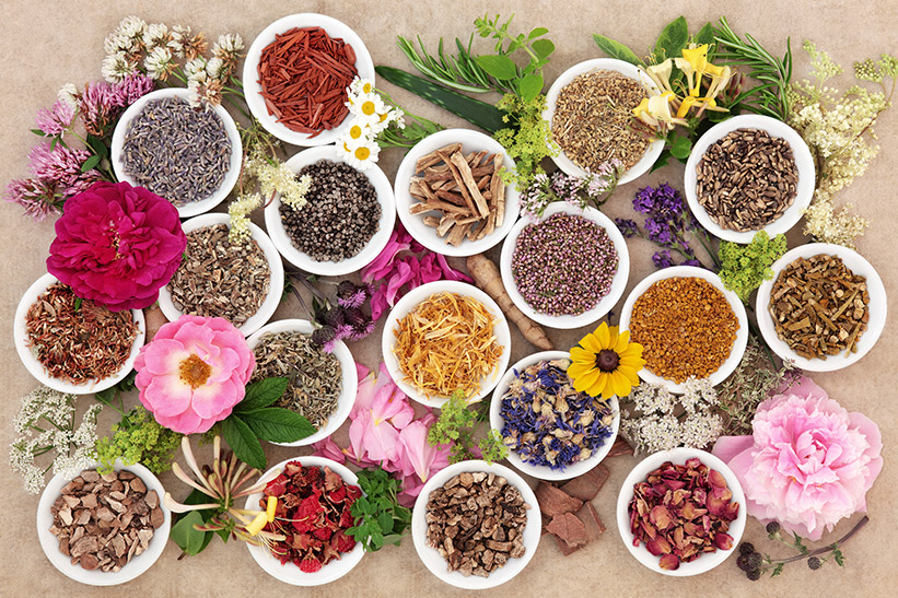 Formation Naturopathie à Distance - Niveau 1